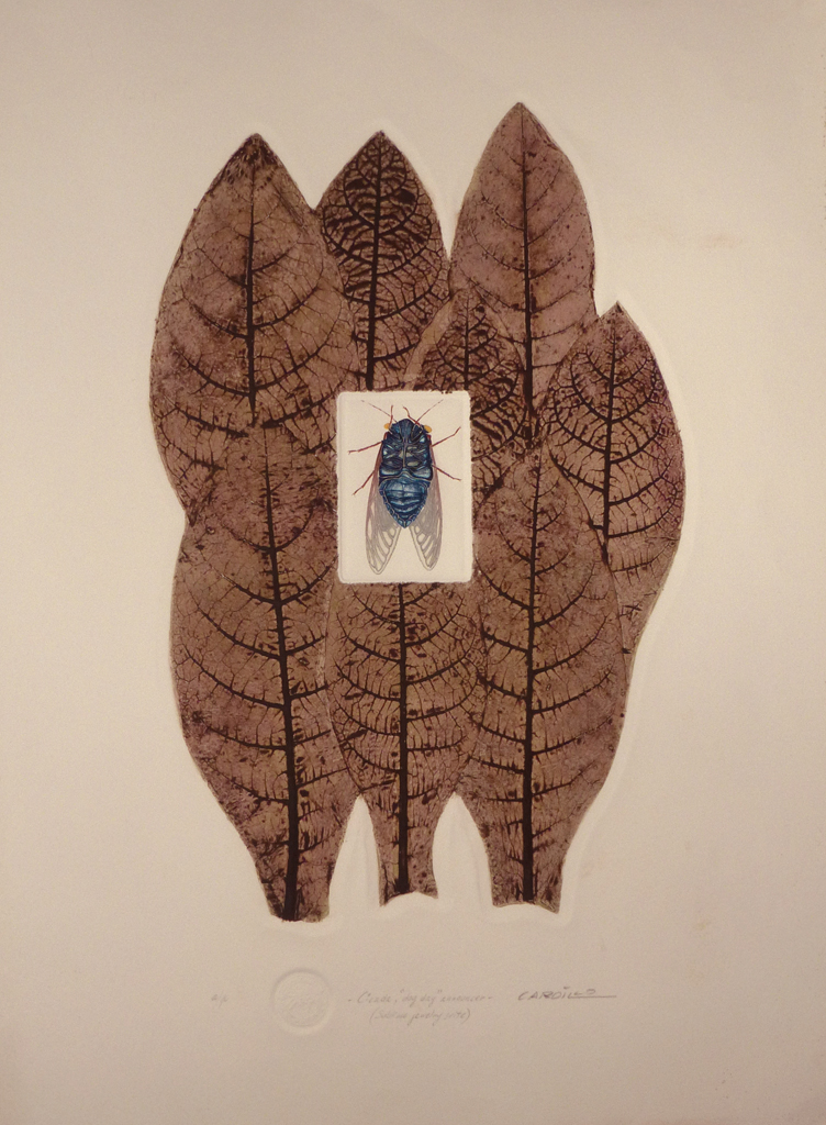 Frogman's Print Workshops